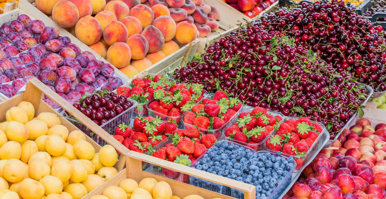 Experience the Magic of Daybreak Farmers Market | Daybreak Utah